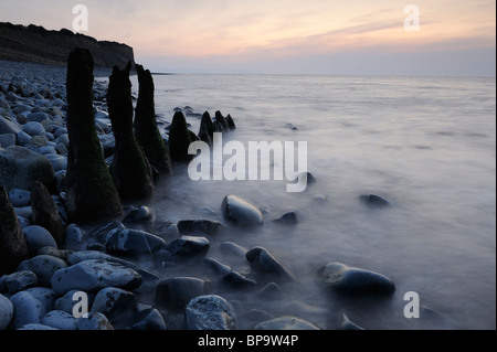Weathered groynes amongst the rocks of Lilstock beach, Somerset Stock ...