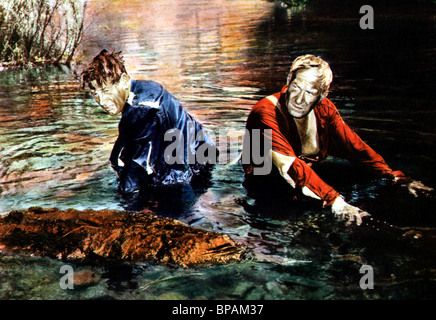 John Payne & William Demarest Film: The Blazing Forest (1953 ...