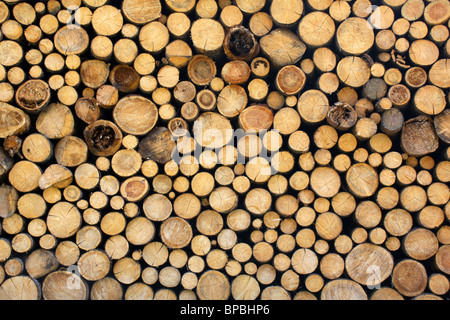 Stack of wooden logs background Stock Photo - Alamy