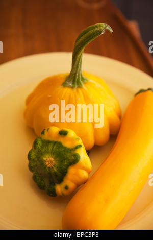 Cucurbita pepo 'Sunburst'. Summer Squash 'Sunburst'. Scallop group ...