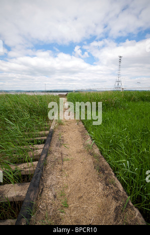 Old Passage Aust South Gloucestershire UK River Severn Estuary Ferry ...