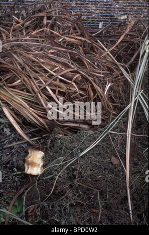 Stages of decay. A rotting Apple Stock Photo - Alamy