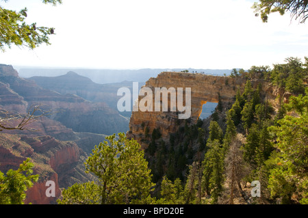 Angels window North Rim Grand Canyon National Park Arizona Stock Photo ...