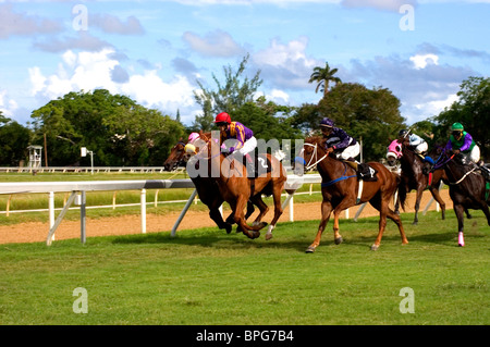 Horse Racing, Barbados, Caribbean Stock Photo - Alamy