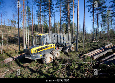 Ponsse Buffalo forwarder forestry vehicle at clear-cutting area and ...