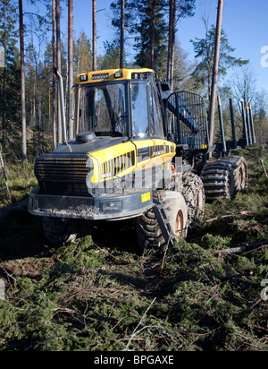Ponsse Buffalo forwarder forestry vehicle at clear-cutting area and ...