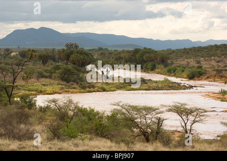 ewaso ngiro river, samburu game reserve, kenya Stock Photo: 123531715 ...