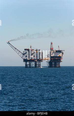 Alwyn North oil platform Stock Photo - Alamy