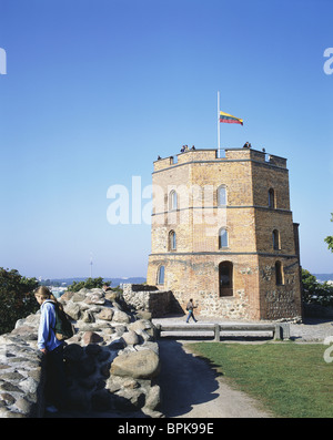 Upper castle in Vilnius. Lithuania Stock Photo - Alamy