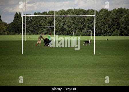 Hackney Marshes Football pitches, London, England, UK Stock Photo - Alamy