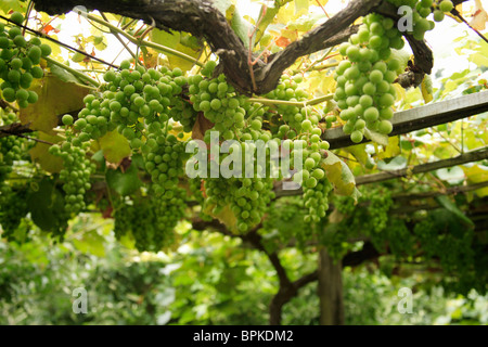 Paza de Oca, Galicia, NW Spain, Spain Stock Photo - Alamy