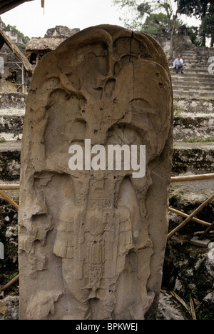 Mayan stelae (carved stone shafts, often sculpted with figures and ...