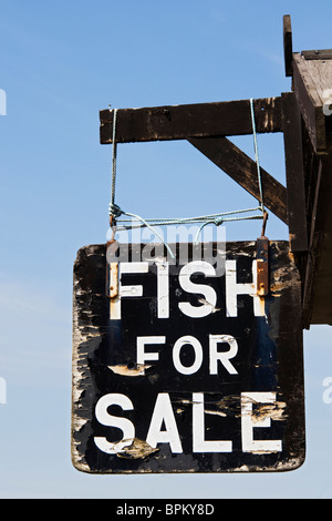 fish for sale sign Southwold harbour huts Suffolk Stock Photo - Alamy