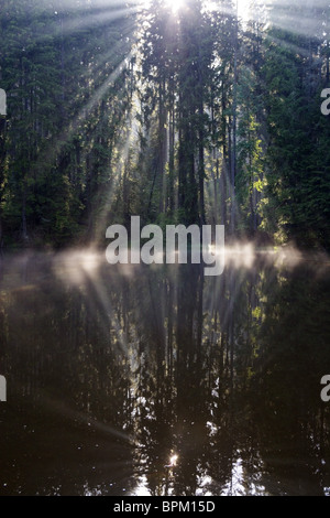 Czech Republic, Bohemia, Sumava, Boubin Forest Stock Photo - Alamy