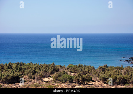Cedar forest, Elafonisi, Chania prefecture, Crete island, Greece Stock ...