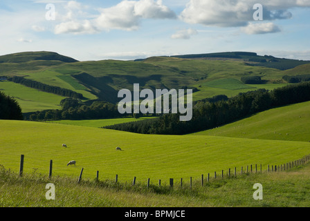 The Cheviot Hills near Bellingham, Northumberland, England UK Stock ...