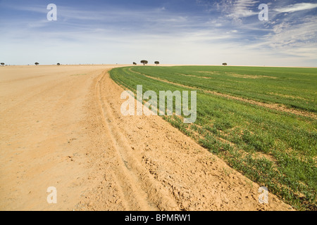Agriculture In The Libyan Desert, Libya, True Colour Satellite Image ...