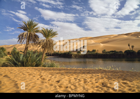 Mandara Lakes in the dunes of Ubari, oasis Um el Ma, libyan desert ...