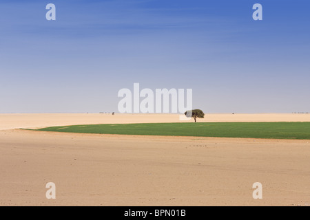 Irrigation project in the libyan desert, Libya, Sahara, North Africa ...