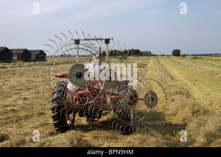 Farmer rowing up hay with an old Fergie tractor and acrobat Stock Photo ...
