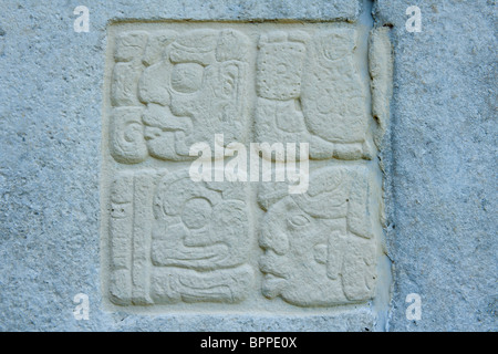 Limestone relief in the Palace, Maya ruins of Palenque, Mexico Stock ...