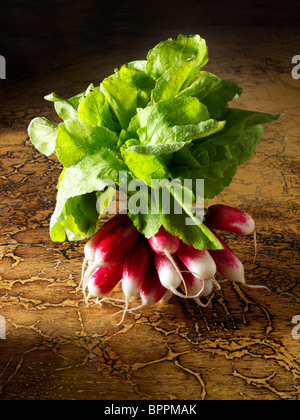 Raddish photos, pictures & images Stock Photo - Alamy