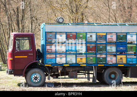 Colorful truck filled with beehives in spring in Romania Stock Photo ...