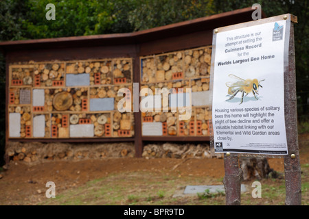 Wall built in an attempt to build the worlds largest bee home Stock ...