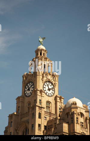 Royal Liver Building in Liverpool, England by Drone Stock Photo - Alamy