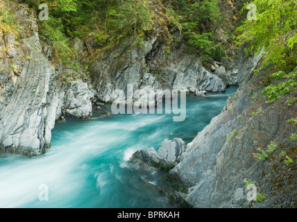Goblin's Gate, Narrow Canyon on Elwha River, Olympic National Park ...