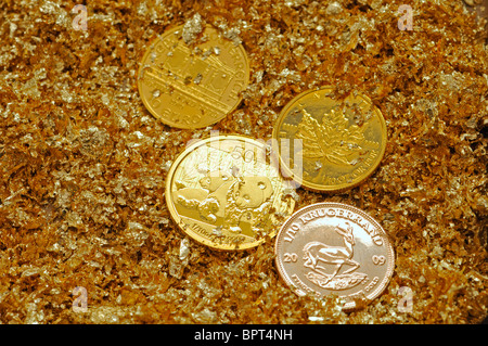 Small pure gold bullion coins in gold flakes Stock Photo - Alamy