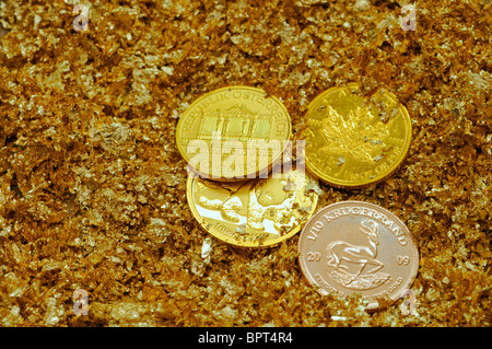 Small pure gold bullion coins in gold flakes Stock Photo - Alamy