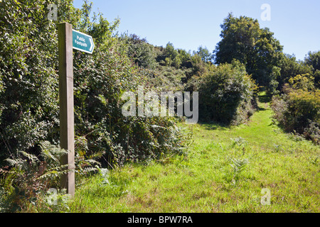 Musbury Castle iron-age hill fort, Devon, England, Great Britain ...