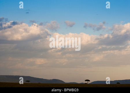 Skyline of the Masai Mara Stock Photo - Alamy