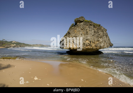 Strange rock formations known as the Soup Bowl in Bathsheba Stock Photo ...