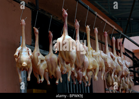 Undressed chicken hanging out to dry Stock Photo: 31296655 - Alamy