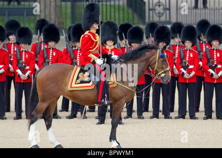Lieutenant Colonel Roland Walker of the Grenadier Guards, is made a ...