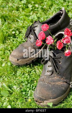 Old garden shoes with pink roses Stock Photo - Alamy