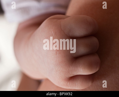 Chubby baby hand Stock Photo - Alamy