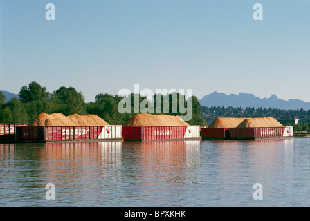 Wood Chips loaded on Barges, Campbell River, Vancouver Island, BC ...