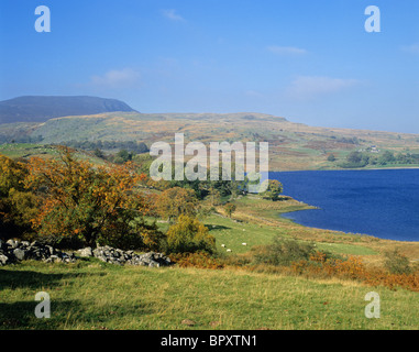 View over the water at Llyn Celyn, Snowdonia NP, Wales, UK Stock Photo ...