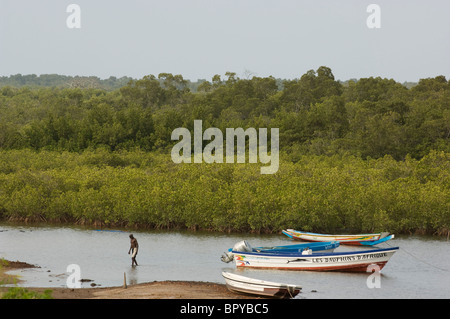 Africa, Senegal, Pirogues in the mangroves, Saloum delta. The mangrove ...