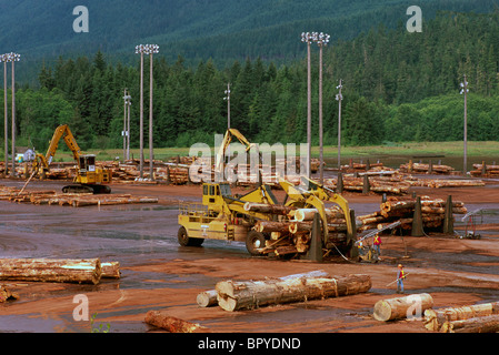 A Log Picker sorting Logs at Beaver Cove Sort Yard, near Telegraph Cove ...