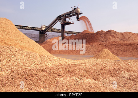 Wood Chips unloading onto Storage Pile at Wood Chip Terminal, Vancouver ...