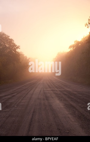 Foggy view of road with orange fiery haze Stock Photo - Alamy