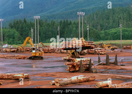 A Log Picker sorting Logs at Beaver Cove Sort Yard, near Telegraph Cove ...