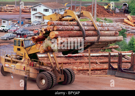 Canadian Logging Yard North West Bay, Nanoose, Vancouver Island Stock ...