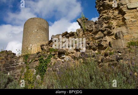 Ruins of the castle at Chalus near Limoges in France where Richard ...