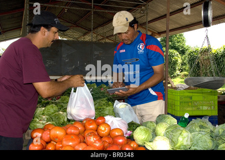 outdoor produce market Costa Rica Stock Photo - Alamy