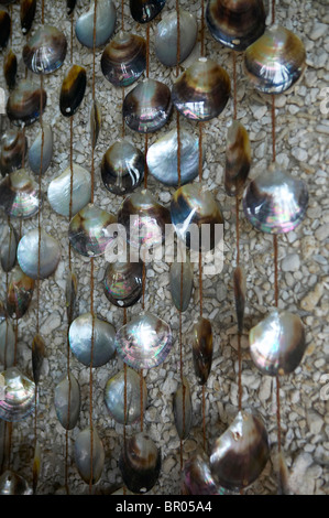 Seashells on strings Stock Photo - Alamy